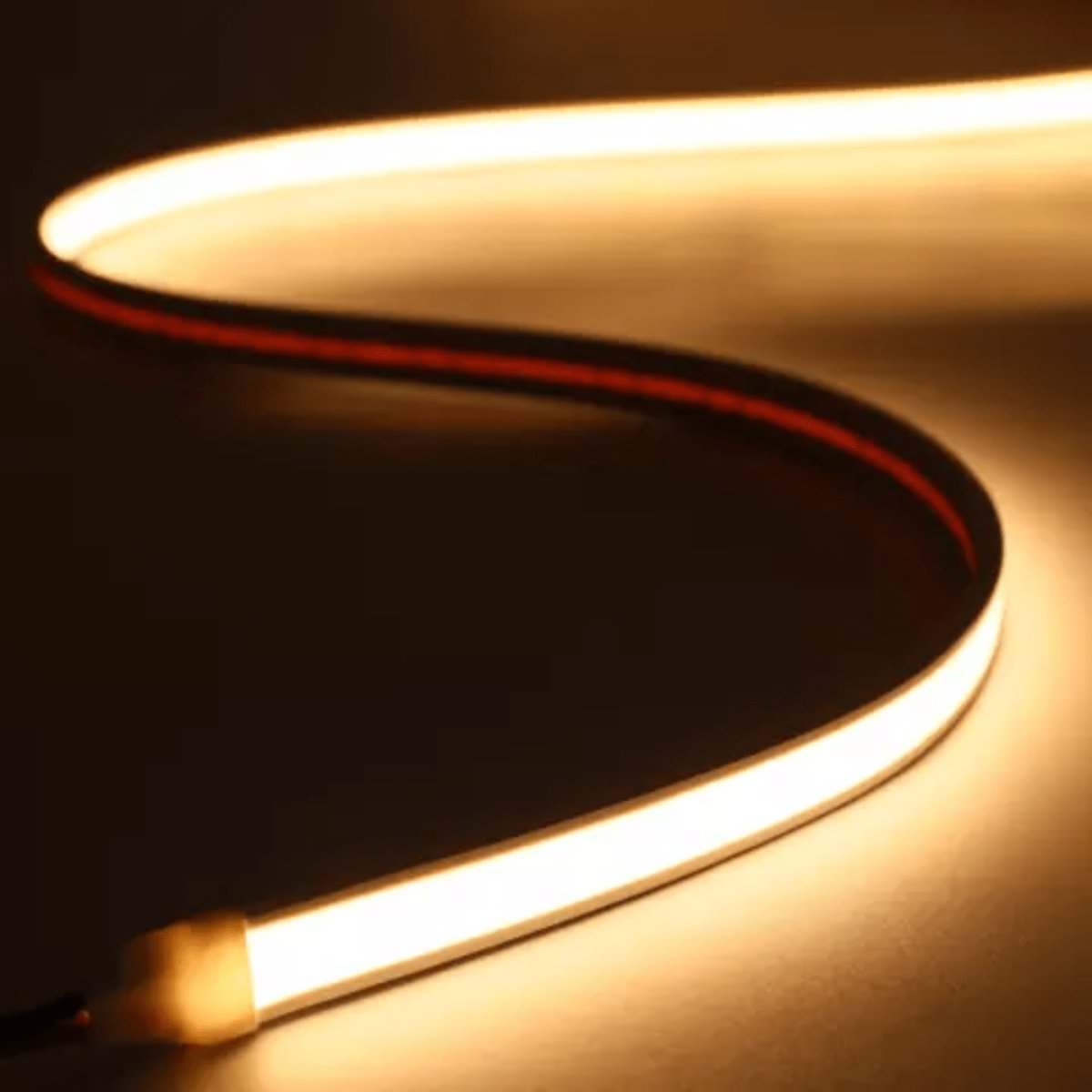 10mm | 10W/m 3000ºK | IP68 | COB Dot Free LED Strip Light – Cosmo ...