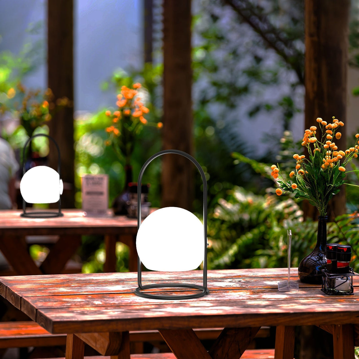 Portable LED ball Decorative Light, AC Charging, 16 RGB Color Changing ...